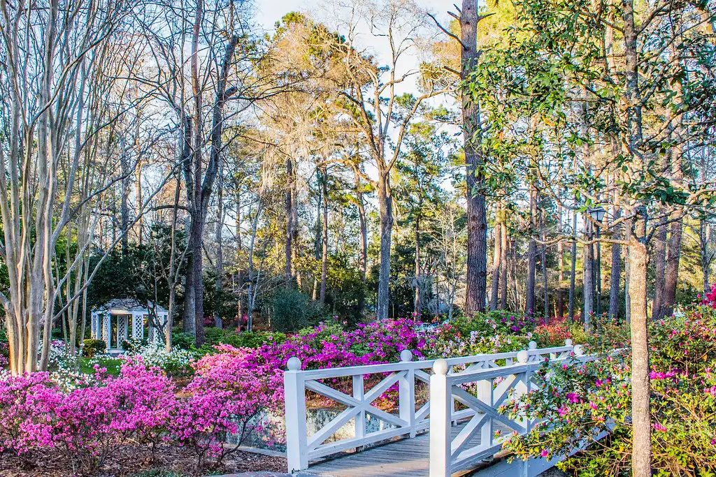 PRO Summerville Pest Control Services - Mack Pest Solutions